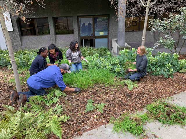 About Us - Re:wild Your Campus